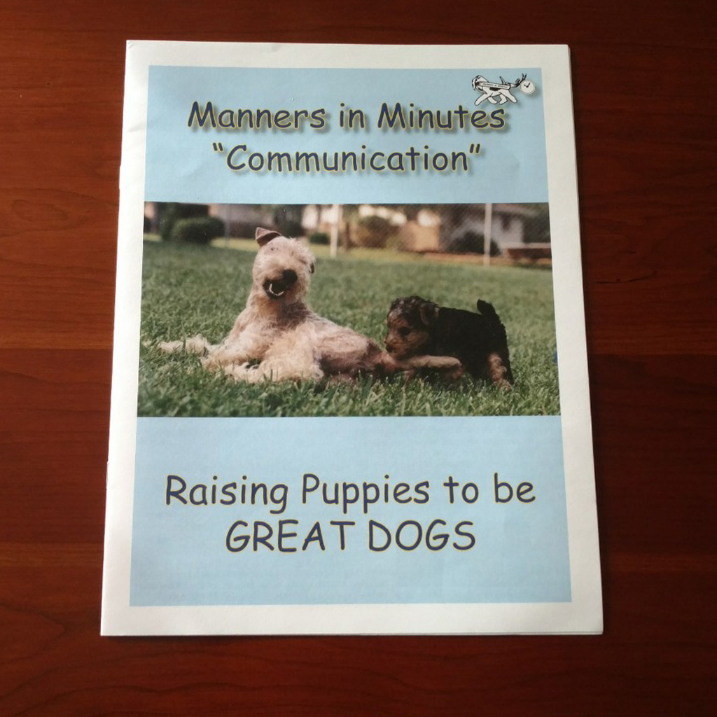 Manners in Minutes Communication Training Manual - Shop Quansa